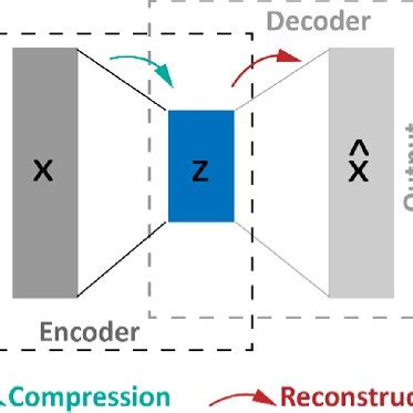 Autoencoder With Basic Components Download Scientific Diagram
