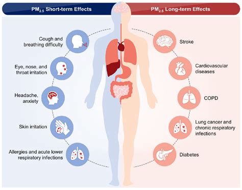 What Is Particulate Matter Pm2 5 And Why You Should Be Concerned Cap