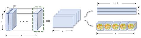 Spatial Feature And Electrode Position A 62 Electrodes In