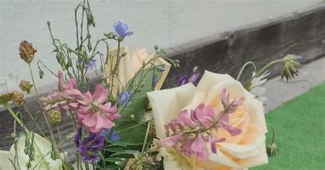 Шузы | Пикабу