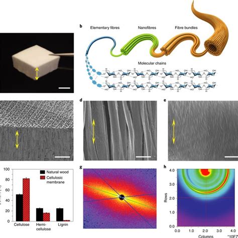 Cellulose Ionic Conductors With High Differential Thermal Voltage For Low Grade Heat Harvesting