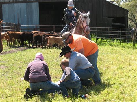 The Cattle Thread Page General Chat Red Power Magazine Community