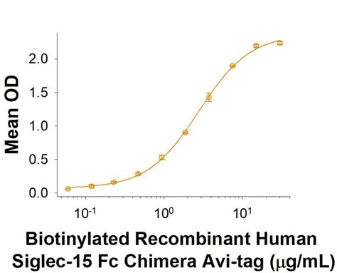Recombinant Human Siglec 11 Fc Chimera Protein Cf 3258 Sl 050 Randd Systems