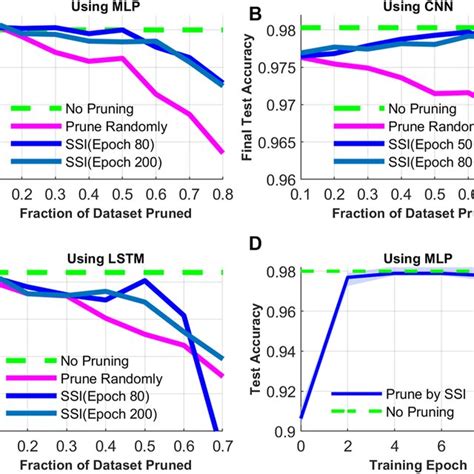 The Influence Of The Pruning Fraction And Ssi Of Different Training