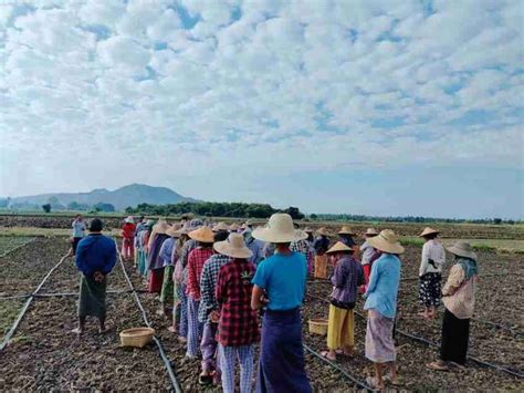 ယင်းမာပင် ဆားလင်းကြီး ရွာပေါင်းစုံသပိတ်စစ်ကြောင်း စစ်အာဏာရှင် ဆန့်ကျင်ရေးသပိတ်ကိုပြုလုပ် Khit