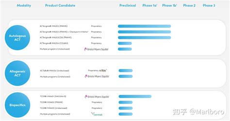靶向prame实体瘤tcr T疗法orr达67 ，股价大涨！ 知乎