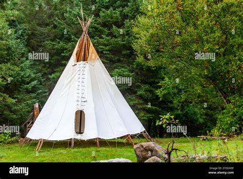 A Rustic Tipi Tent Is Viewed By Woodland Similar To That Of Native