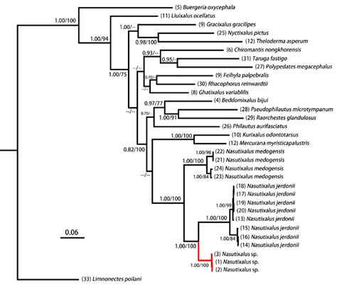 Bayesian Inference Bi Tree Derived From 1266 Bp Sequences Of The Download Scientific Diagram