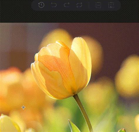 Releases Nhn Tui Image Editor GitHub
