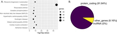 Transcriptome Analysis Of Long Noncoding Rnas Reveals Their Potential