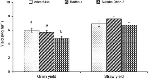 Effects Of Rice Varieties On Rice Grain Yield And Straw Yield Straw Download Scientific