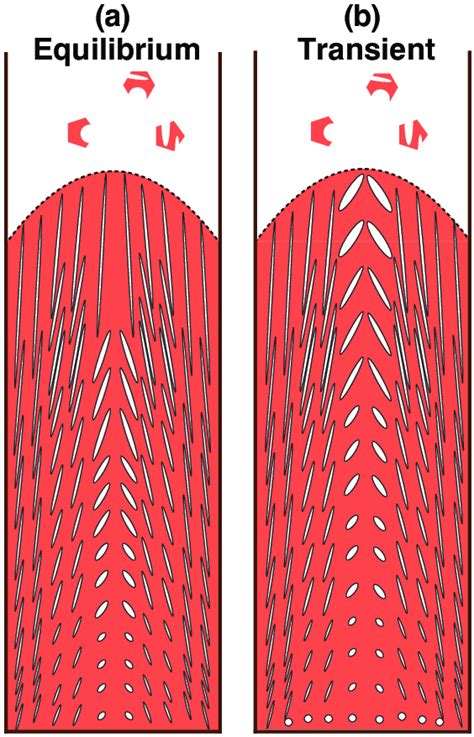 Conduit Sections Illustrating Bubble Deformation Due To The Simple Download Scientific Diagram