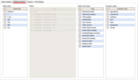 Meter Summary Report