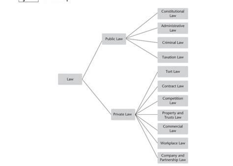 Terminologies Law Chapter 2 5 Flashcards Quizlet
