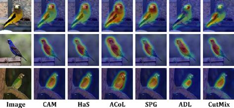 figure 4 from multi scale spatial representation learning via recursive hermite polynomial