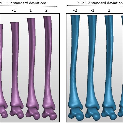 Coherent Point Drift Algorithm Implemented Using The Python Module Download Scientific Diagram