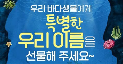 해수부 한글날 맞이 해양생물 우리말 이름짓기 진행