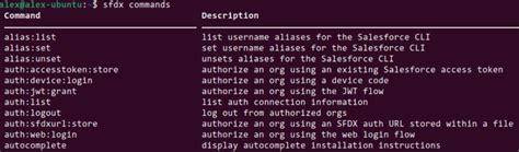 Salesforce Cli How To Install And Use Salesforce Cli