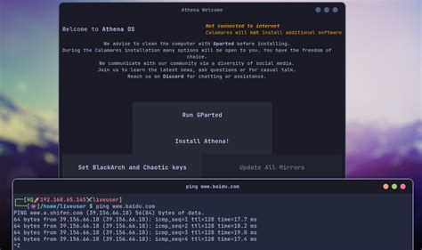 You Can Connect To The Network But You Cant Update The Mirror · Issue 20 · Athena Os Athena
