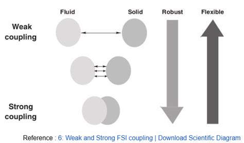 What Is Fluid Structure Interaction Fsi