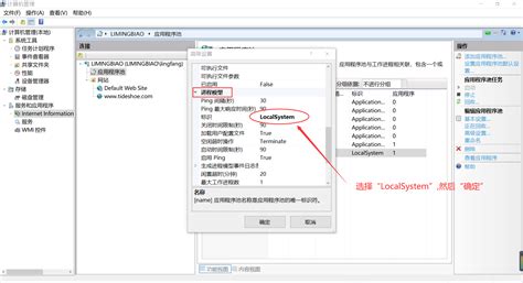 如何将自己的Web项目部署在IIS中并运行C NET ASP vs 详细教程 黎三岁 博客园