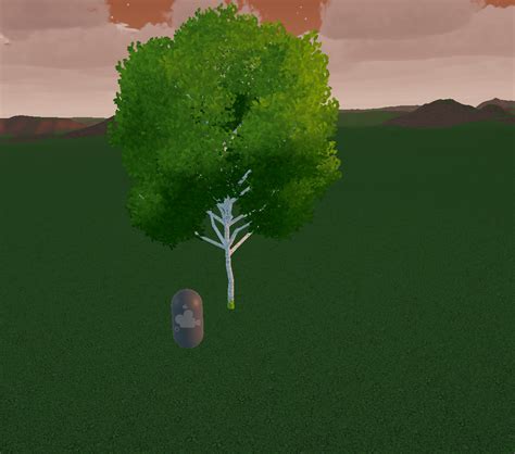 Daynight Cycle Shadows Runity3d