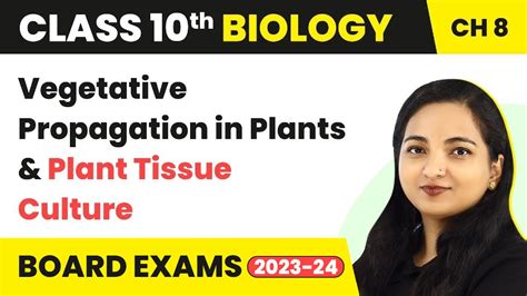 Vegetative Propagation In Plants And Plant Tissue Culture Class 10 Biology Chapter 8 Youtube