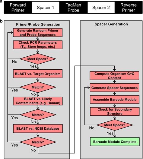 overview of barcode design and algorithm work flow a barcodes consist