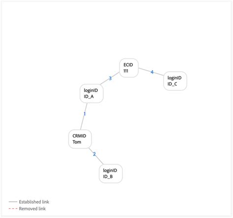 Implementation Guide For Identity Graph Linking Rules Adobe Experience Platform