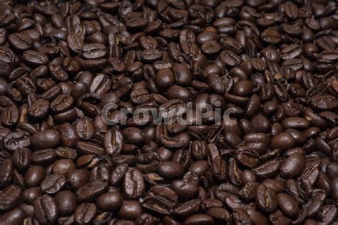 커피 원두 원두커피 커피콩 오브젝트 사진이미지일러스트캘리그라피 Photonavor작가