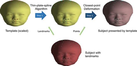 Transformation Of Template To Present The Subject The Thin Plate Download Scientific Diagram