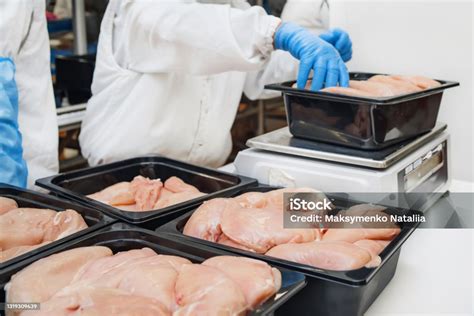 식품 고기 닭고기 컨베이어에 플라스틱 포장 치킨 필렛 생산 라인 육류 가공 장비 반완육류 제품의 생산을 위한 라인 가금류에 대한 스톡 사진 및 기타 이미지 Istock