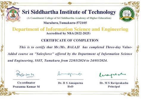 Salesforce Ssit Skilldevelopment Balaji Shapur