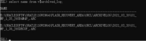 oracle修改归档日志格式和路径 csdn博客