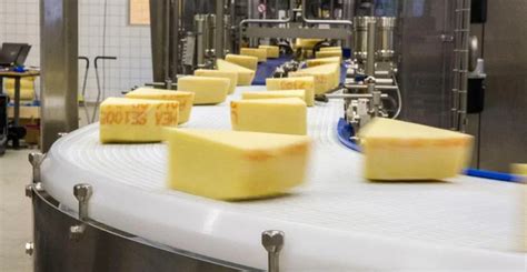 Mastering Food Safety