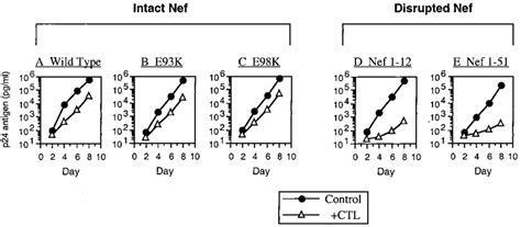 Role Of Nef In Hiv 1 Suppression By Ctl Several Hiv 1 Nl4 3 Nef
