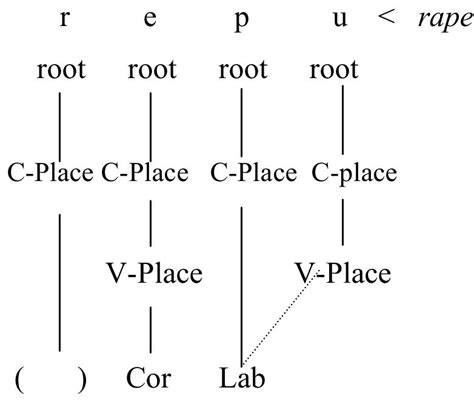 50 Consonantlocal Assimilation Ca Of Labial Place