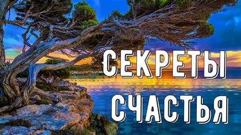 В чем секрет счастливой жизни Youtube