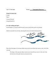 Understanding Stream Dynamics A Comprehensive Lab Guide Course Hero