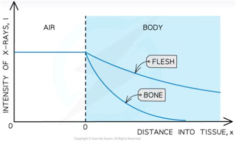 Calculating X Ray Attenuation Flashcards Quizlet