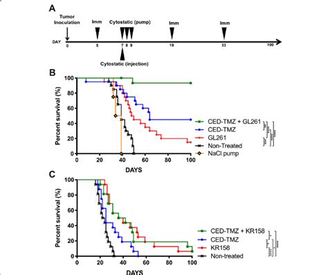 A Treatment Setup Tumor Inoculation At Day 0 Whole Cell Vaccine Download Scientific Diagram