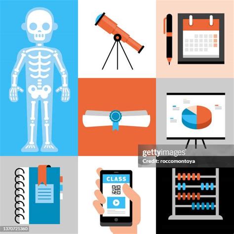 Organizational Chart Clip Art High Res Illustrations Getty Images