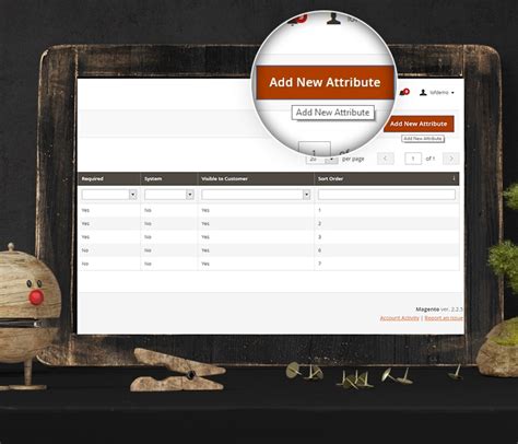 Magento 2 Order Attributes Flexible Order Attributes