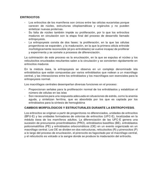 Eritrocitos Pdf Glóbulo Rojo Anatomía