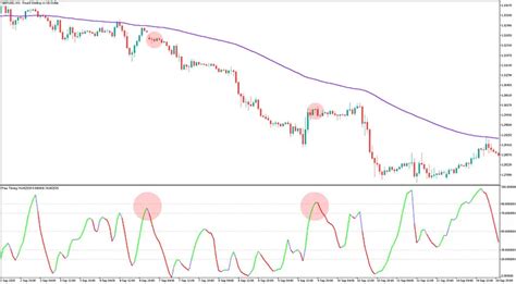 MBFX Timing Indicator MT5 Free Download ForexRacer