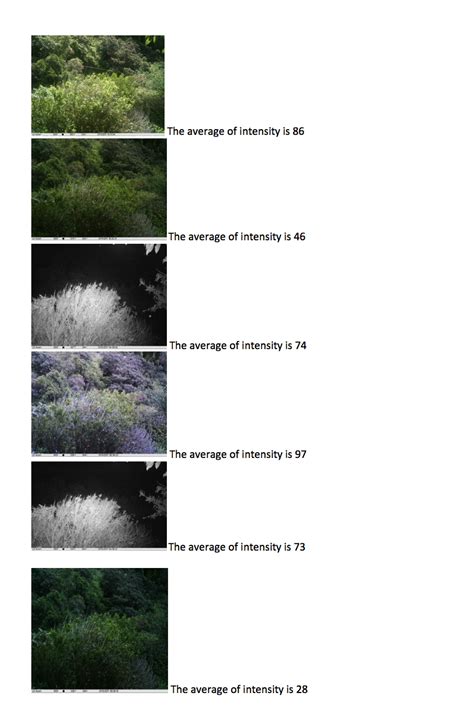 Python Bright Dark Images Detection Stack Overflow