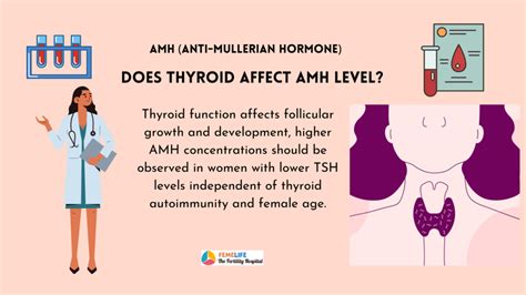 Thyroid Abnormalities In Women Of Reproductive Age Ivf Desk
