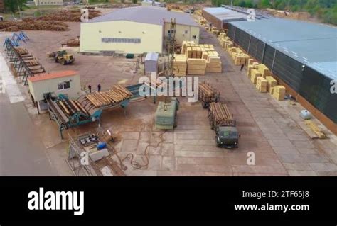 Automated Log Sorting At A Sawmill Aerial View Crane Unloads Logs To