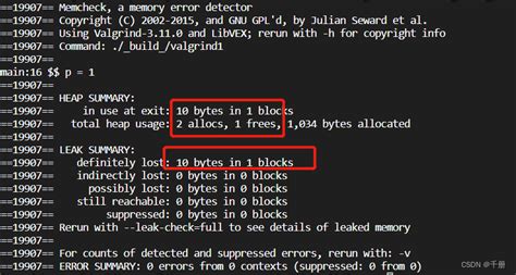 Valgrind检测内存泄漏、越界访问、野指针访问实验valgrind 野指针 Csdn博客