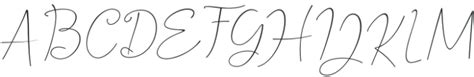 birthday script regular otf 400 font what font is